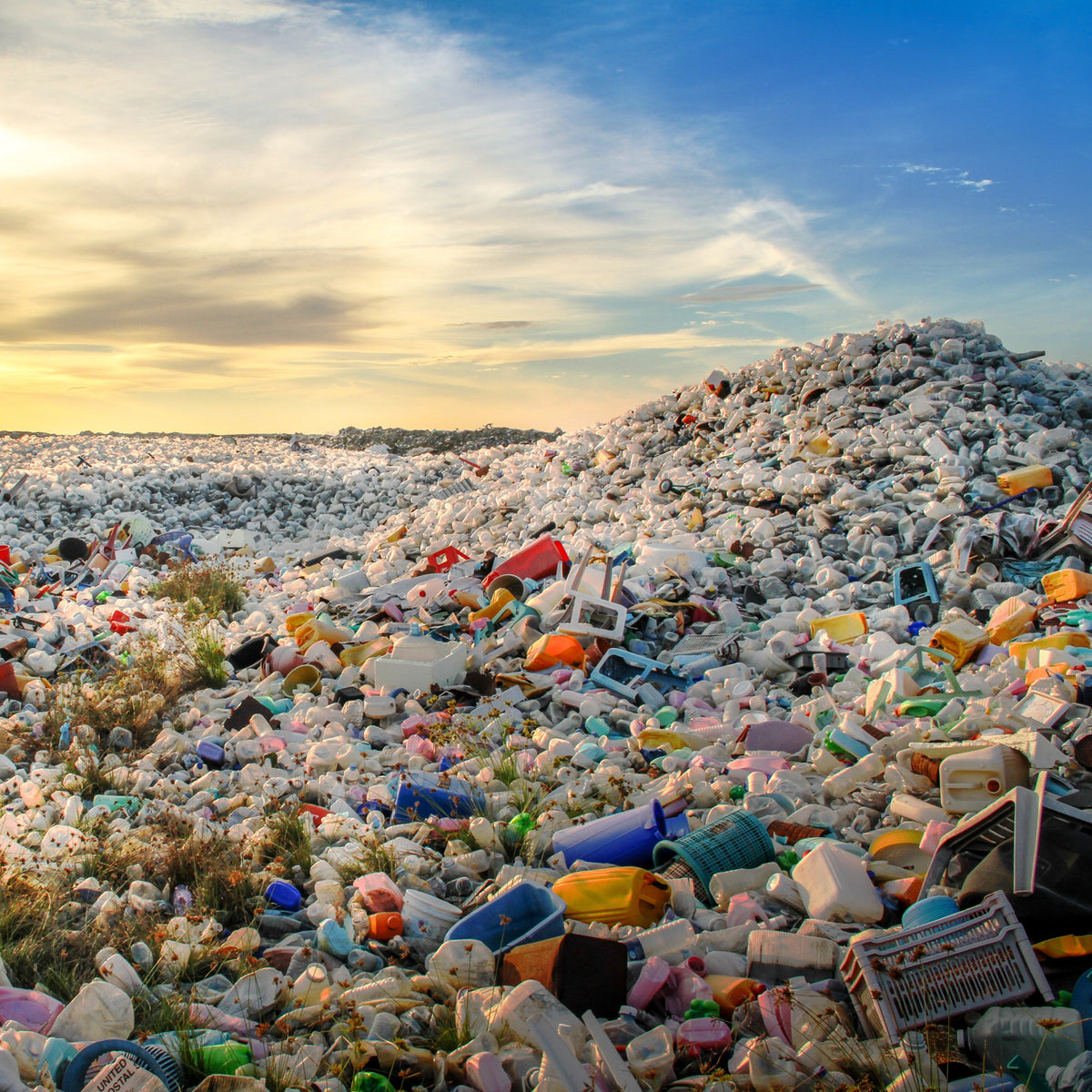 The Environmental Impact of Plastic Sporting Goods – 4ocean