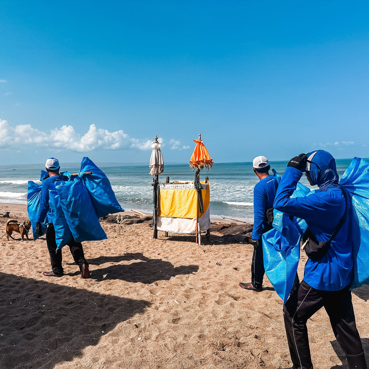The 4ocean Model Works: Here’s Why I’m Comfortable Saying So