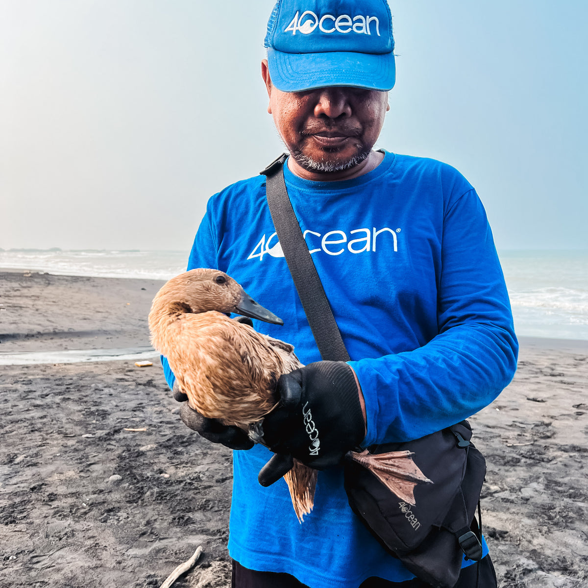 Rescue and Reflection: A Duck, a Ceremony, and the Fight Against Plast ...
