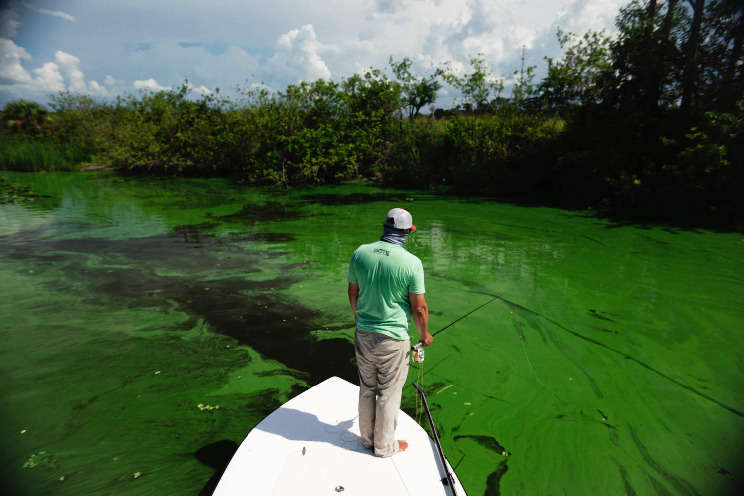 Call to Action: Support Everglades Restoration Now! – 4ocean