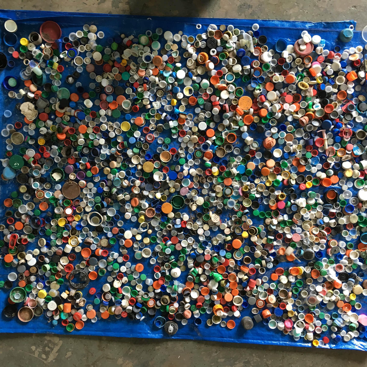 Real Fact: Over 2.8K Bottle Caps Found at Beach Cleanup – 4ocean