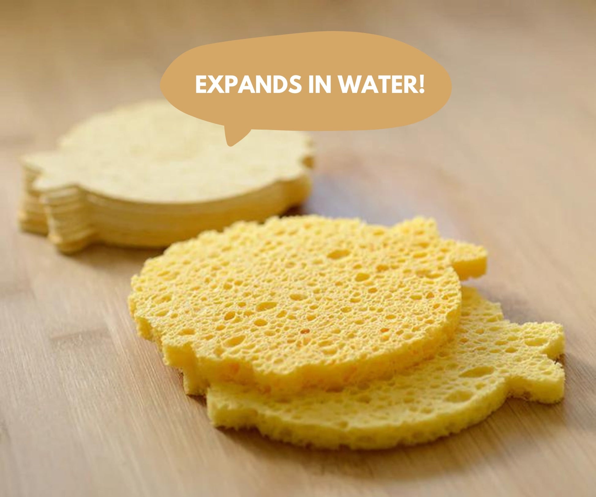 Biodegradable Sponges | 4ocean Sustainable Swaps | Eco-Friendly Cleaning