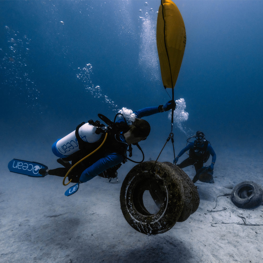Osborne Reef Bracelet | 4ocean Signature Collection | Funds Ocean Cleanups