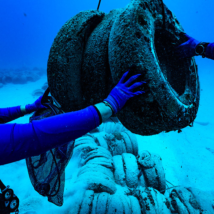 Osborne Reef – 4ocean