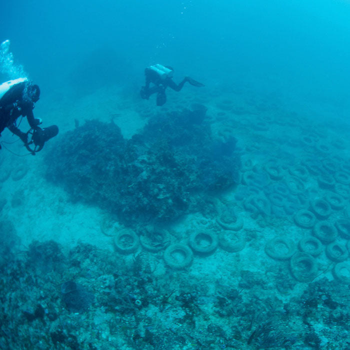 Osborne Reef – 4ocean