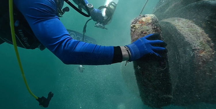 Osborne Reef – 4ocean